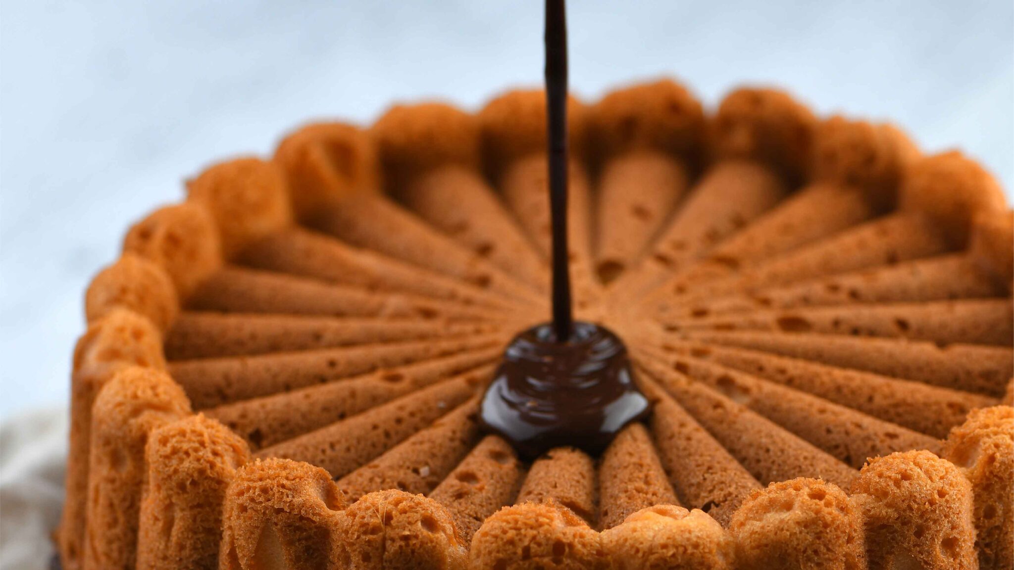 Al Sultan Bakery | Dr Bread